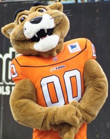 BC Lions Add Three More Coaches To The 2016 Staff – FVN