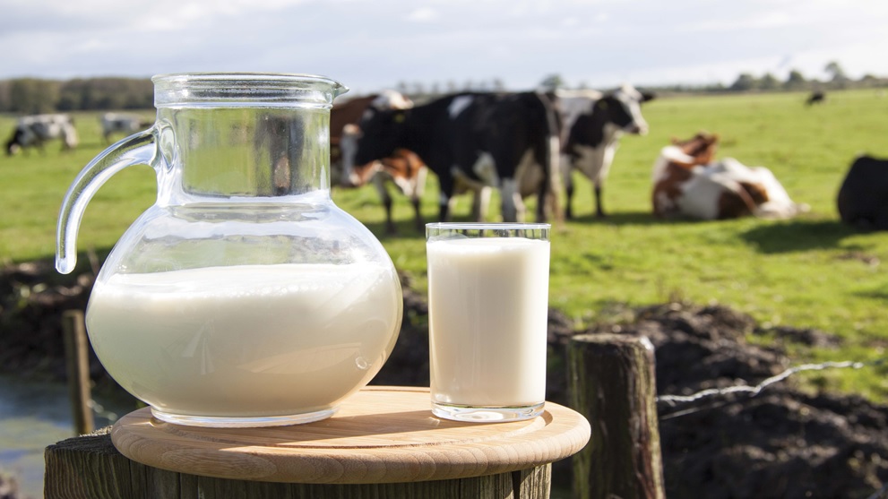 Premier Agriculture Minister Statement On NAFTA Dairy Producers FVN
