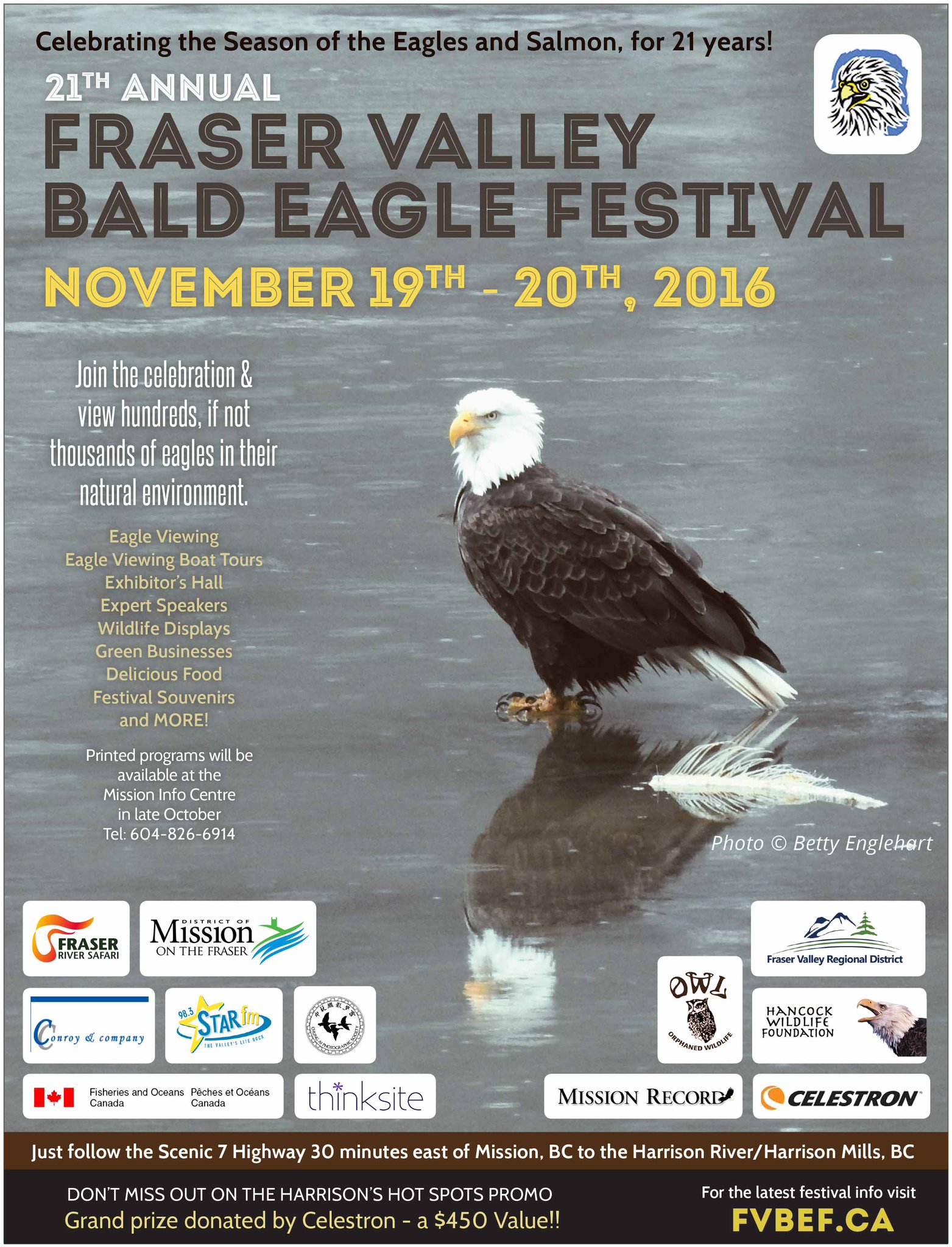 Fraser Valley Bald Eagle Festival November 19 & 20 – FVN