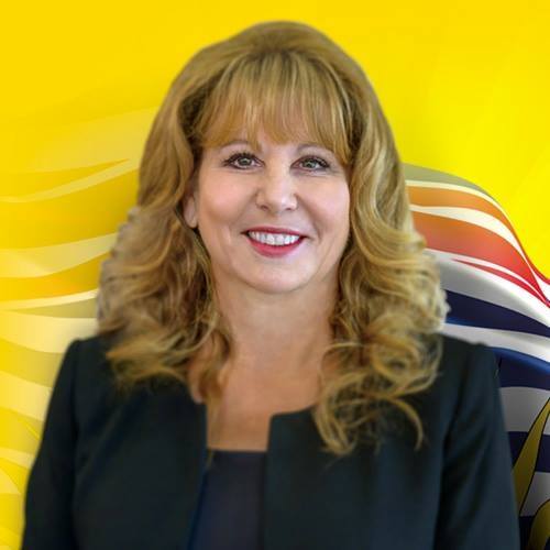 REACTION – Dianne Watts Suggested CFB Chilliwack Be Used To House DTES ...