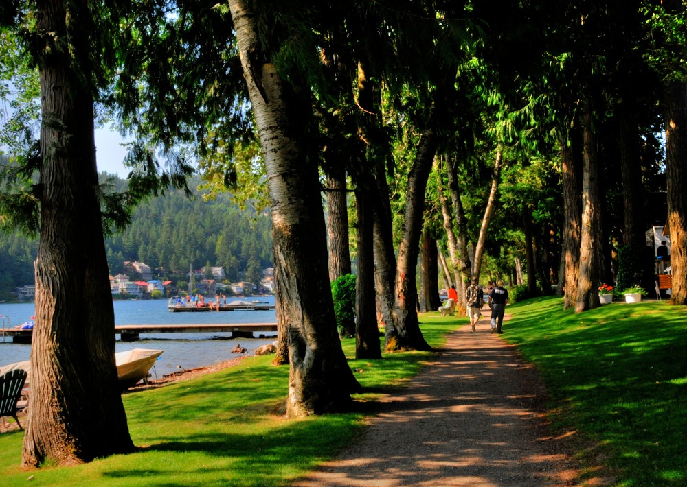 Cultus Lake Park – Tree and Plant Maintenance Notice – FVN