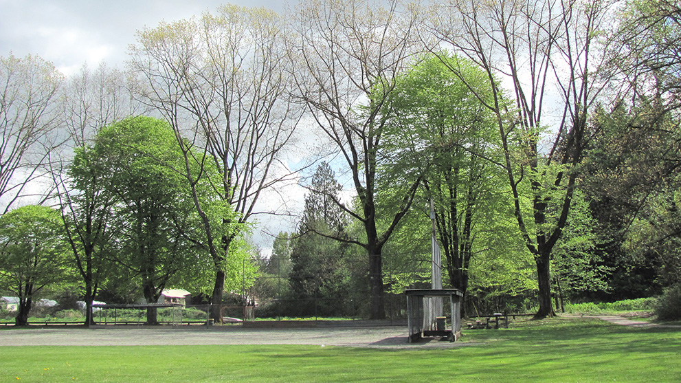 Pork Kells Park Receives Funding For Wildlife Viewing Platform Project ...