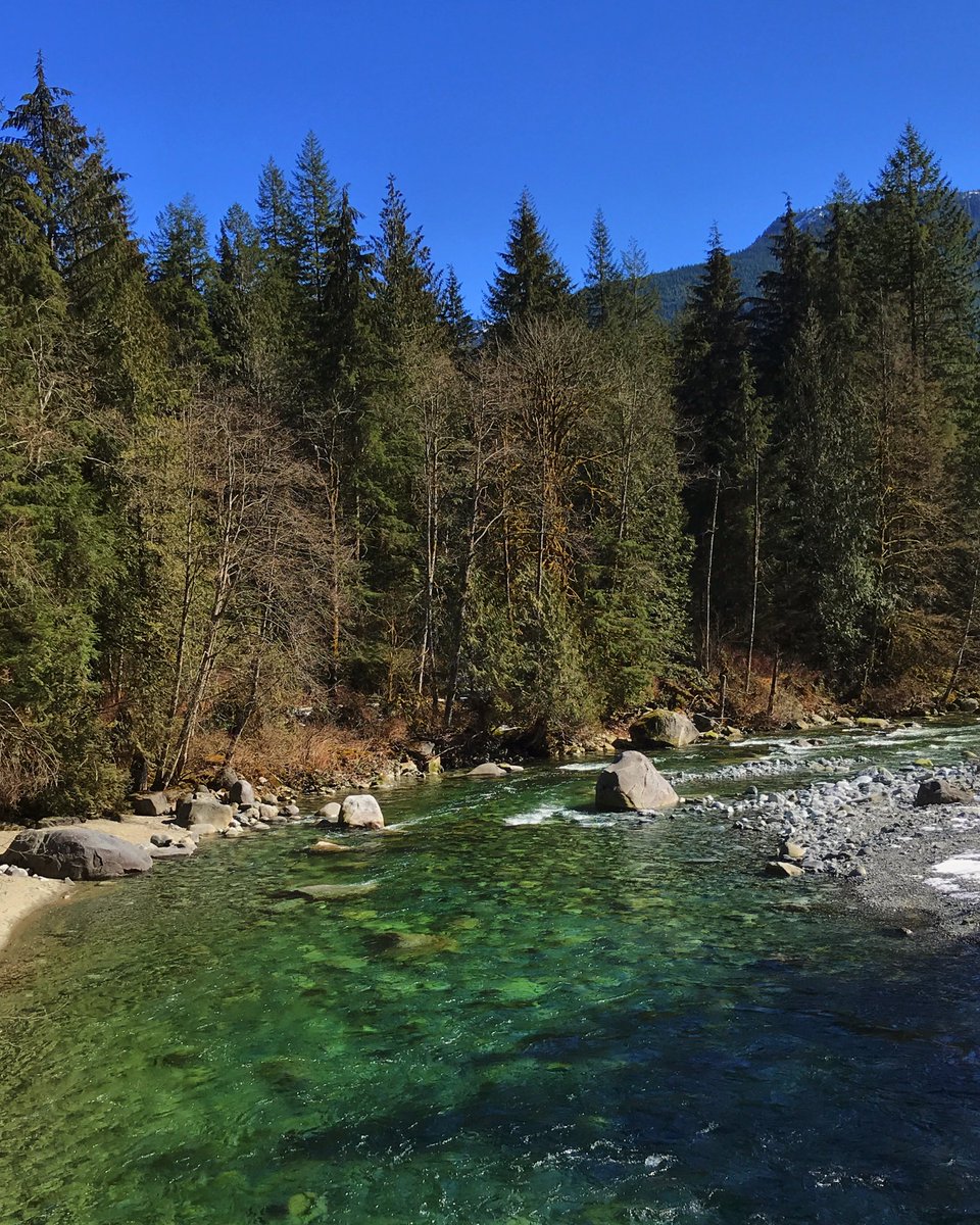 Golden Ears Now 100% Reservable During Peak Season – Not Every Camper ...