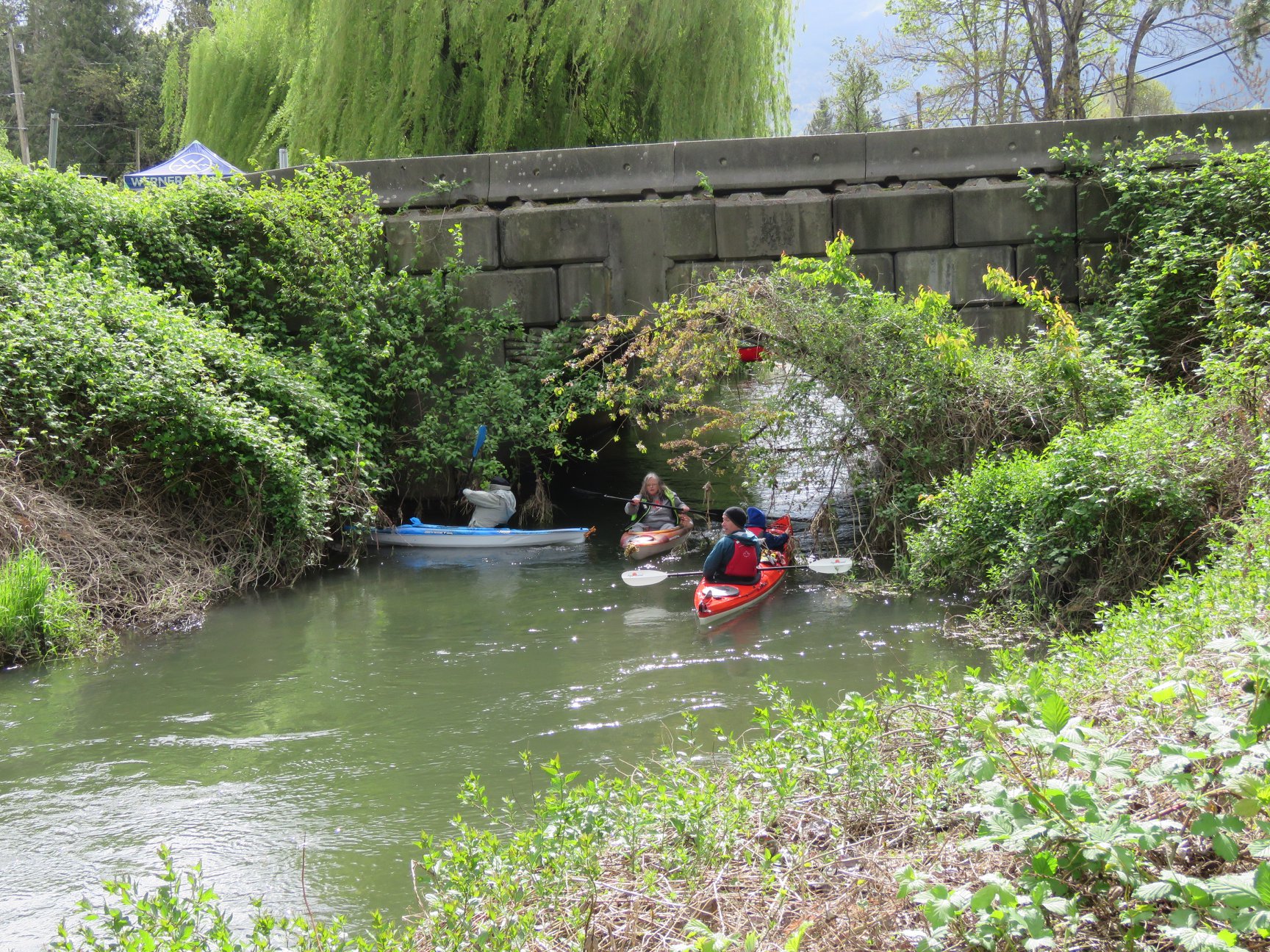 UPDATE – Hope Slough Canoe Tour – Saturday April 27 In Pictures and ...