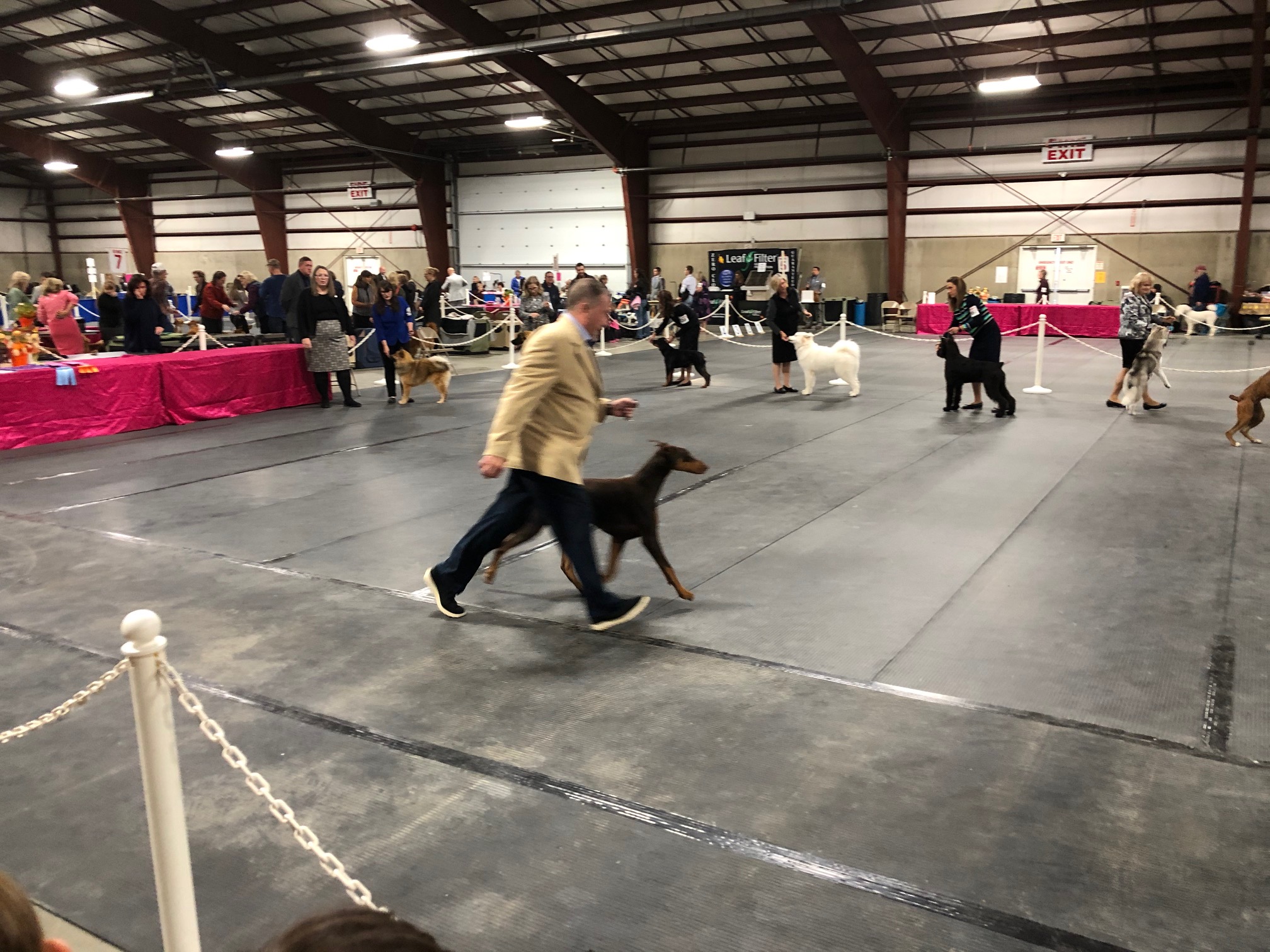 UPDATE – Fraser Valley Dog Fanciers Show – Heritage Park – October 11 ...