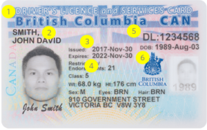 DriveSmart BC – Producing Your Driver’s Licence – FVN