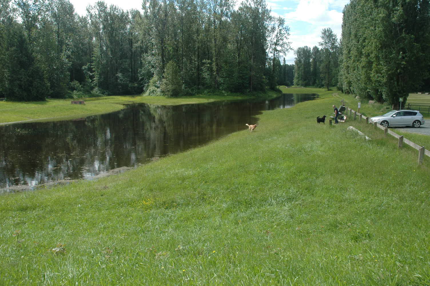 FVRD Freshet Watch: Fraser River Flood Preparedness – Emergency ...