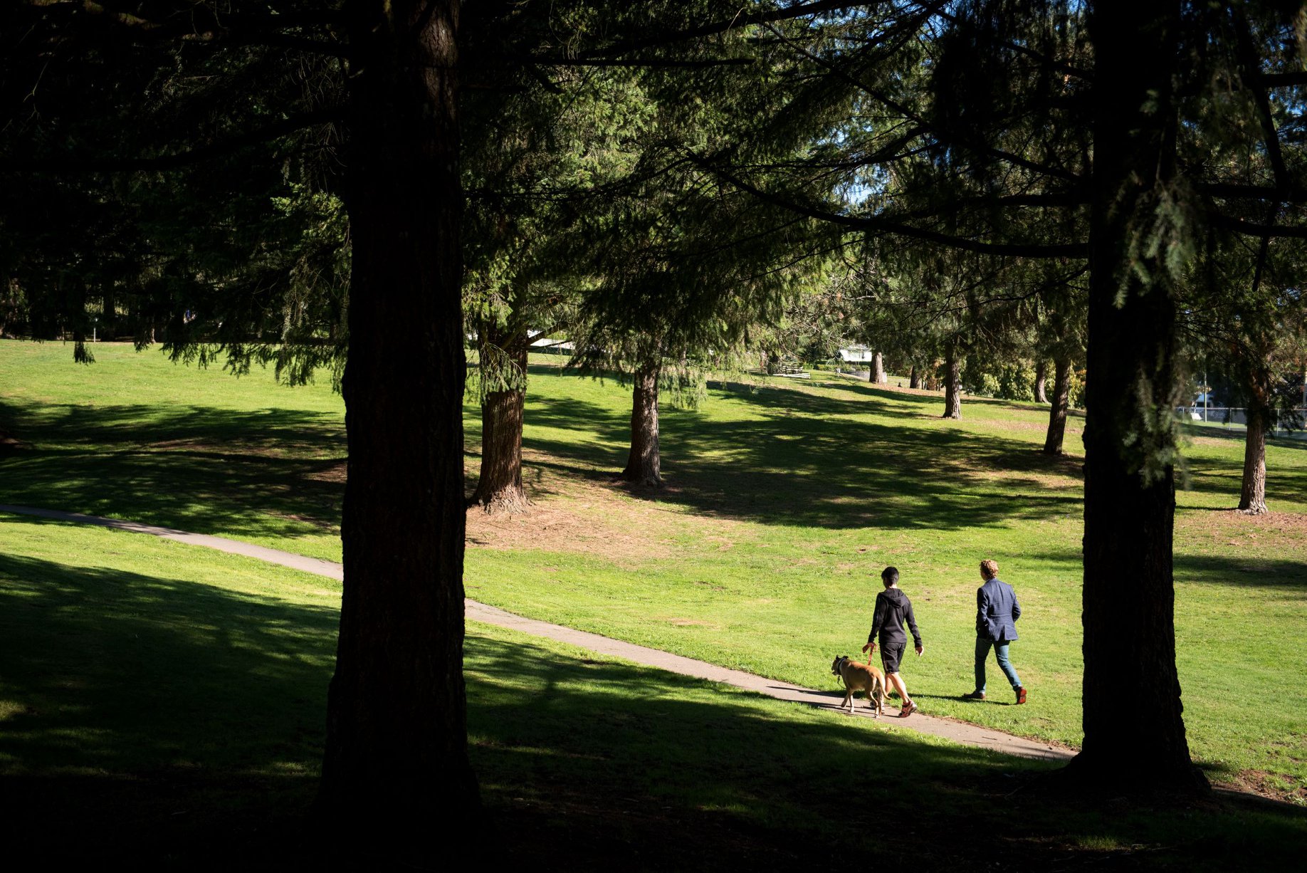 Mission Set to Reopen Select Outdoor Amenities, Thursday May 14 – FVN