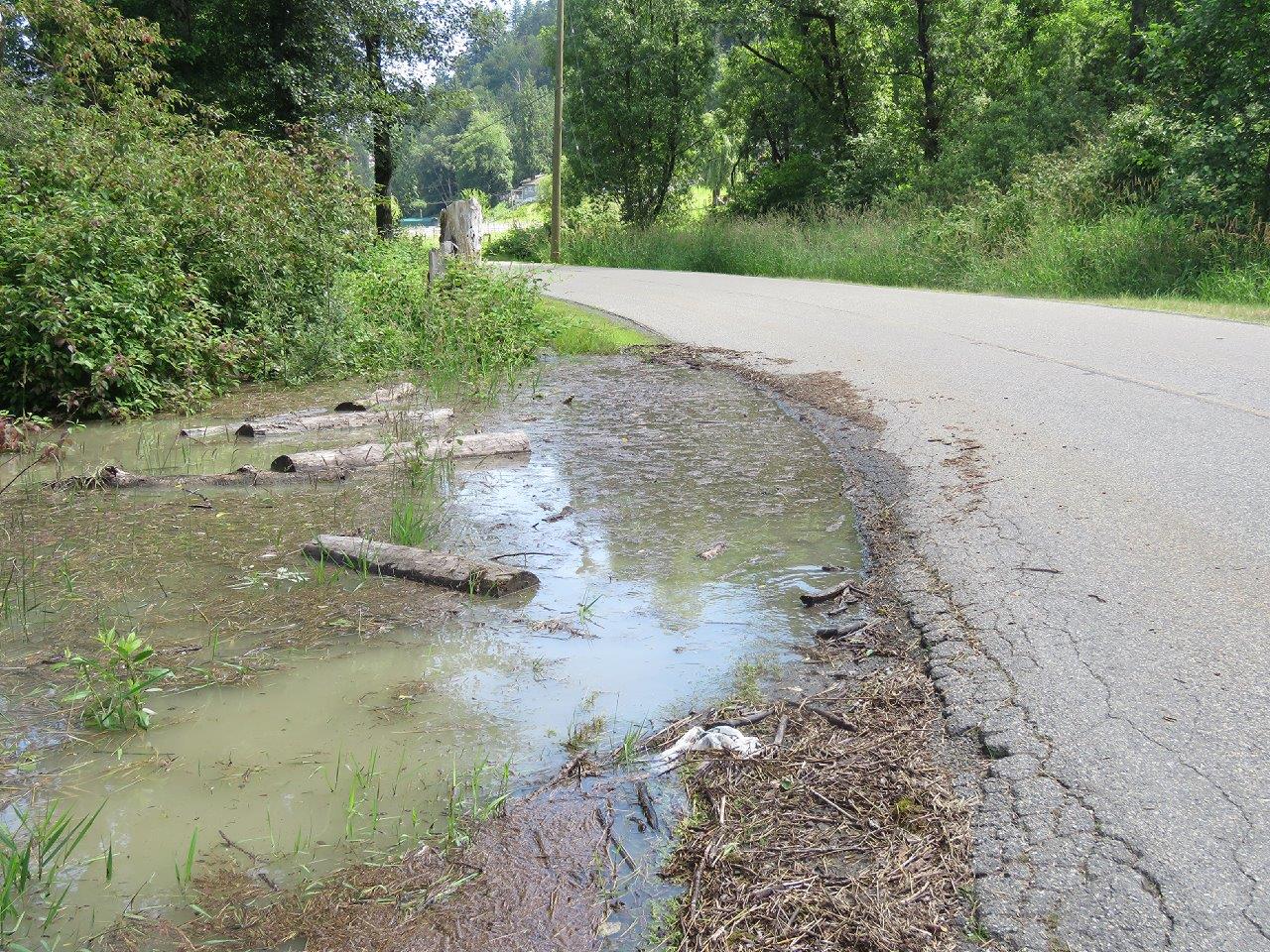 Fraser River Remains High, Past Freshet (VIDEO) – FVN