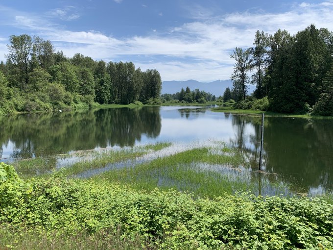 Evacuation Alerts LIFTED for Non-diked and Low-lying Areas in Electoral ...