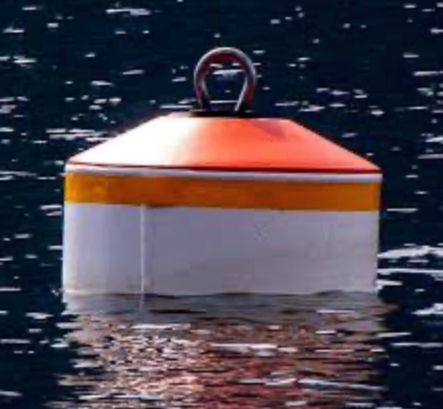 UPDATE – Cultus Lake Buoy Fees Balloon to $500 a Year in 2020 – Renew ...