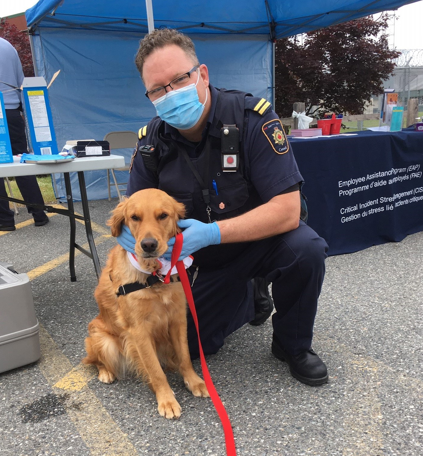 St. John Ambulance Abbotsford Therapy Dog Program Working to Improve ...