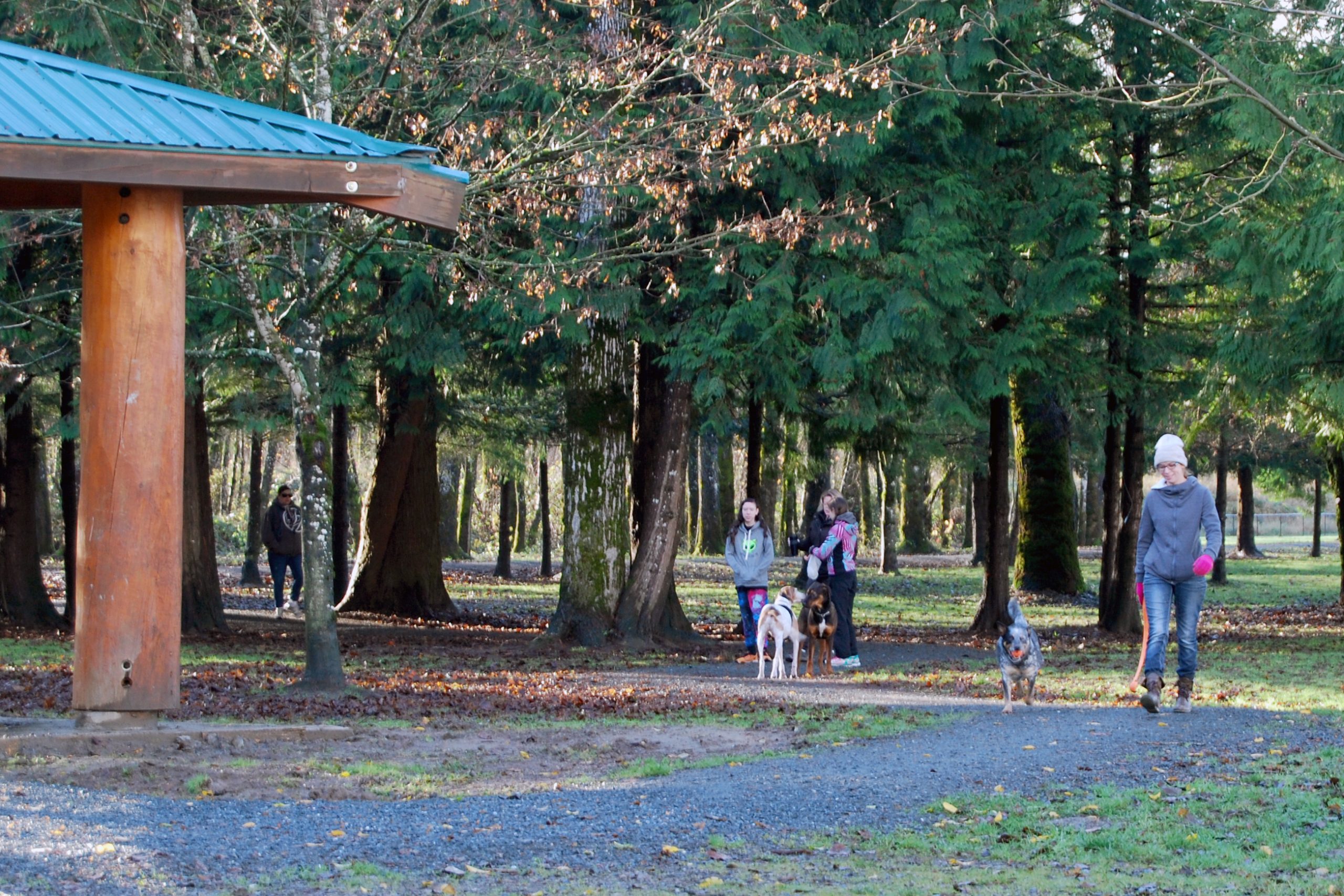 BC Growing Communities Fund Supports Five City of Chilliwack Projects ...