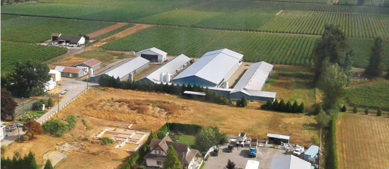 BUSINESS REPORT – No Small Change – Agriculture in Abbotsford is a $3 ...