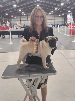 Fraser Valley Dog Fanciers Show – Heritage Park – October 6 to 9 – FVN