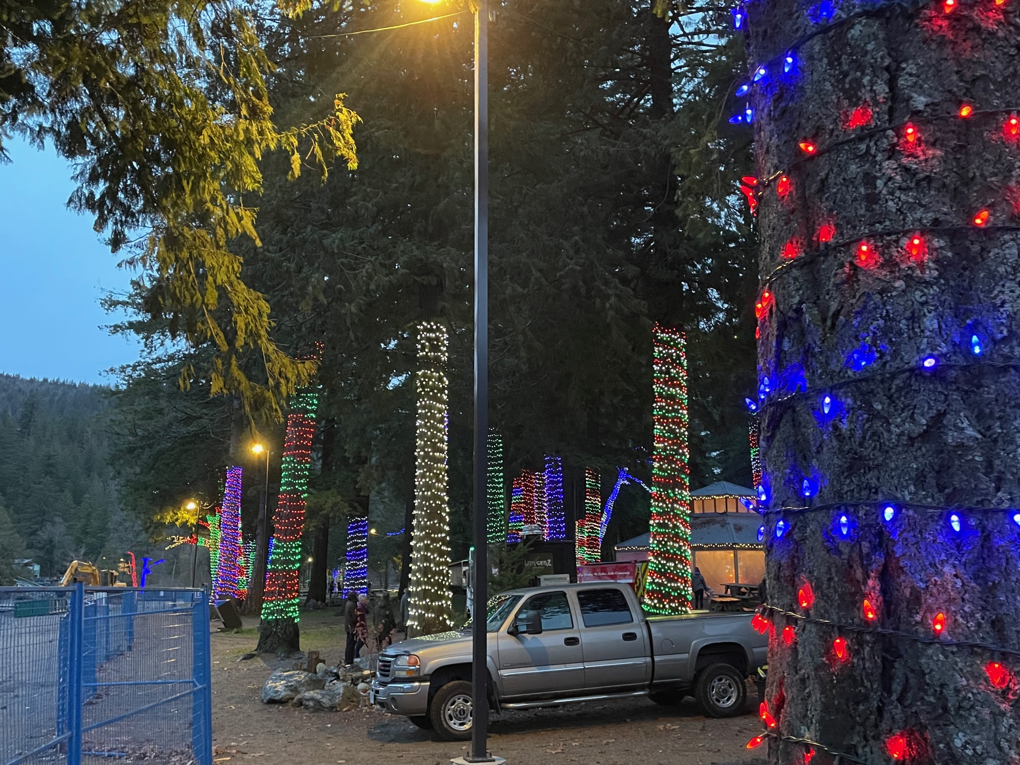 FVN AM News Sunday November 27, 2022. Grizz WIN!, Wind Storm Clean Up ...