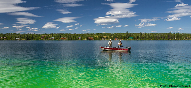 New Fishing Season, New Licence – FVN