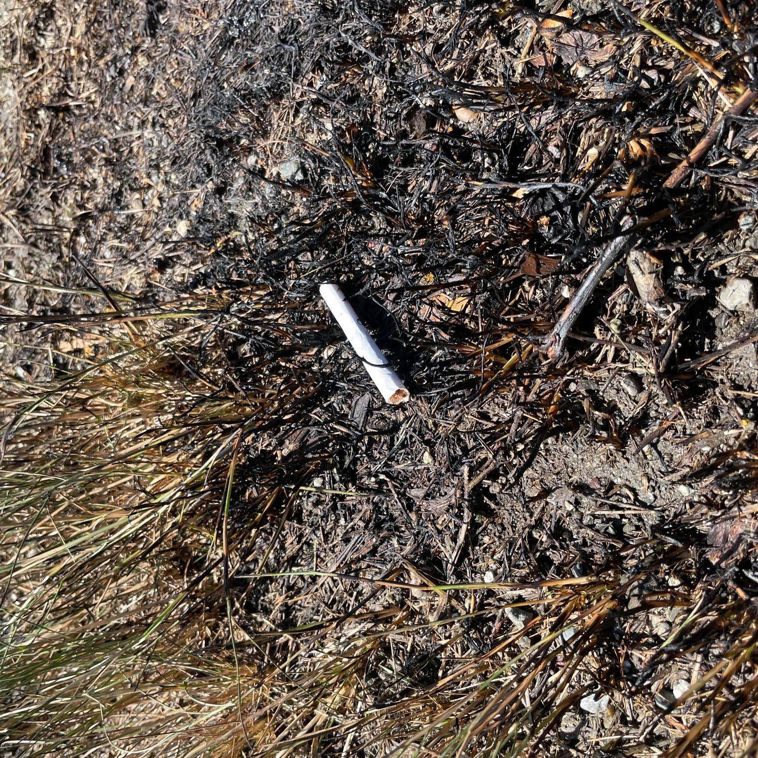 Hope Fire Extinguish Grass Fire on Highway 1 Near Laidlaw – FVN