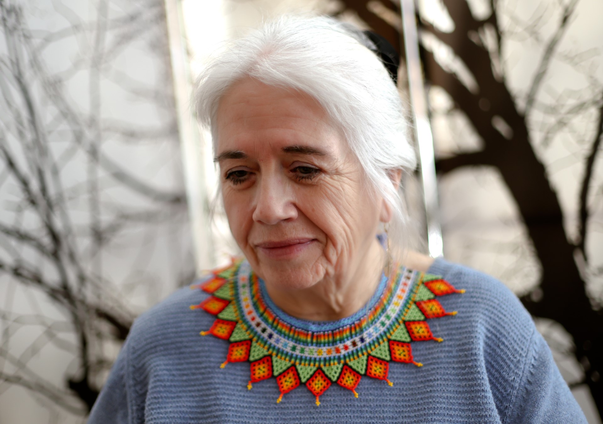 Michelle Good – Author of “Five Little Indians” Speaks at UFV November ...