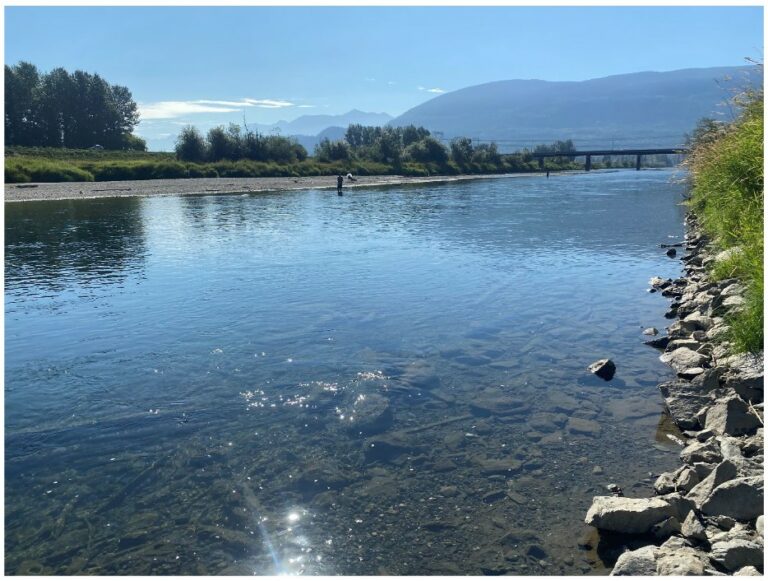 Semá:th (Sumas) Temporary Installment of Non- Permanent Fish Weir ...