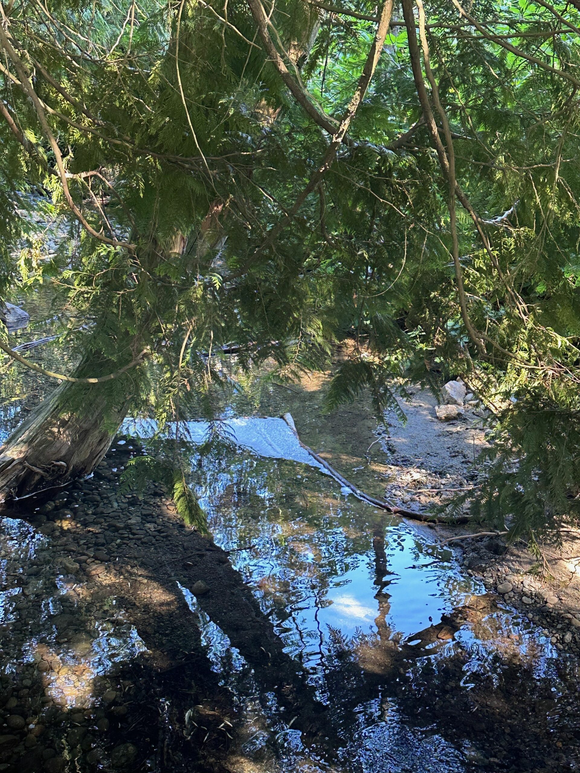 July 5 UPDATE – Spill at Stoney Creek – Cleanup of Firefighting Foam – FVN