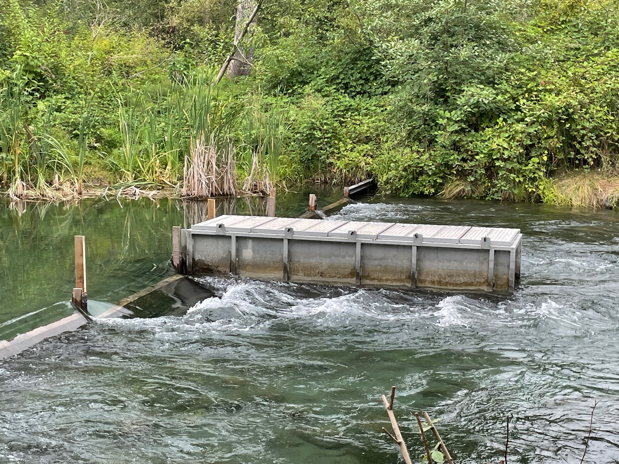 Annual Cultus Lake Weir Dismantle Notice – FVN