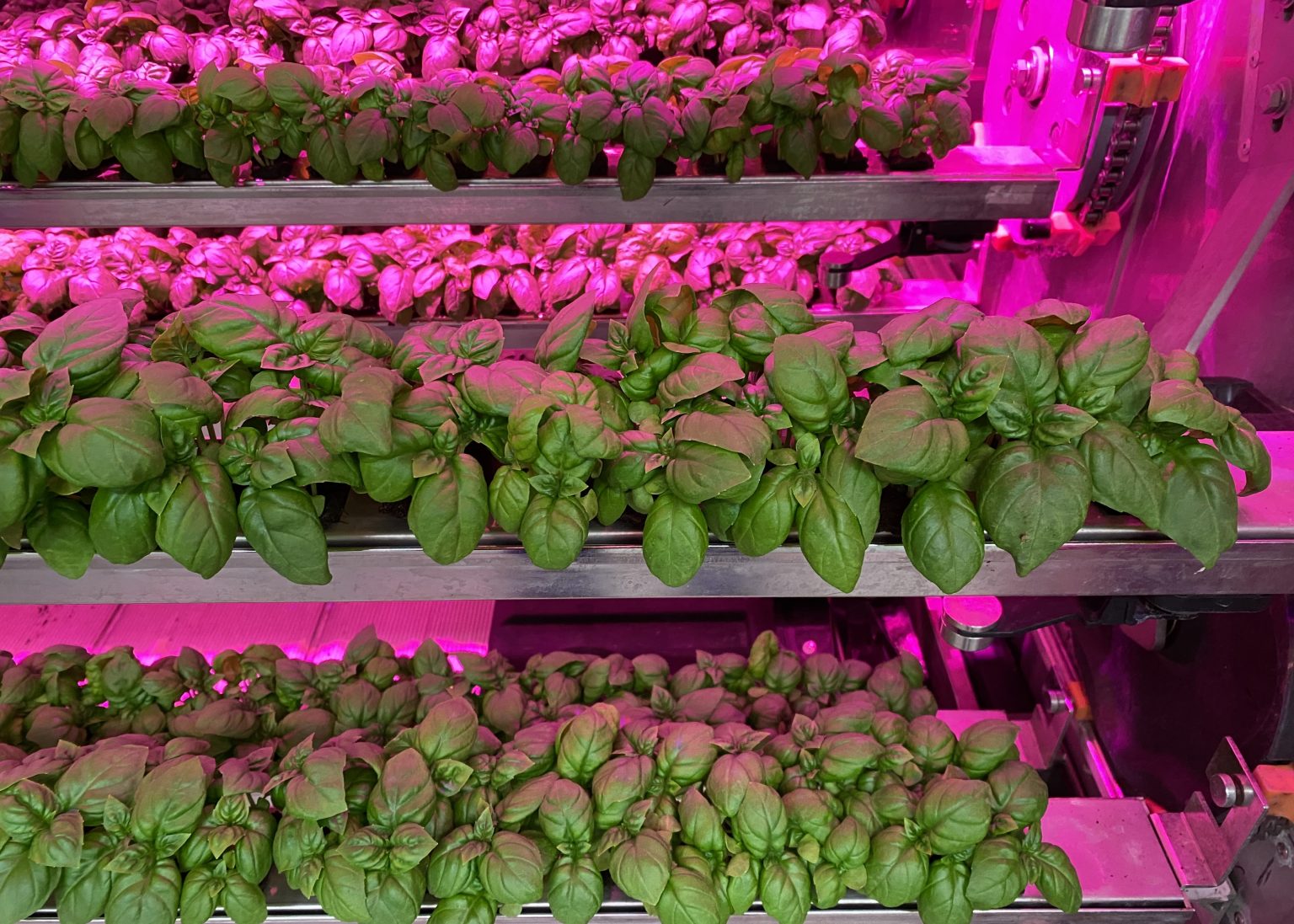 UFV Food and Agriculture Institute Launching Four Year Ag-Tech Study – FVN