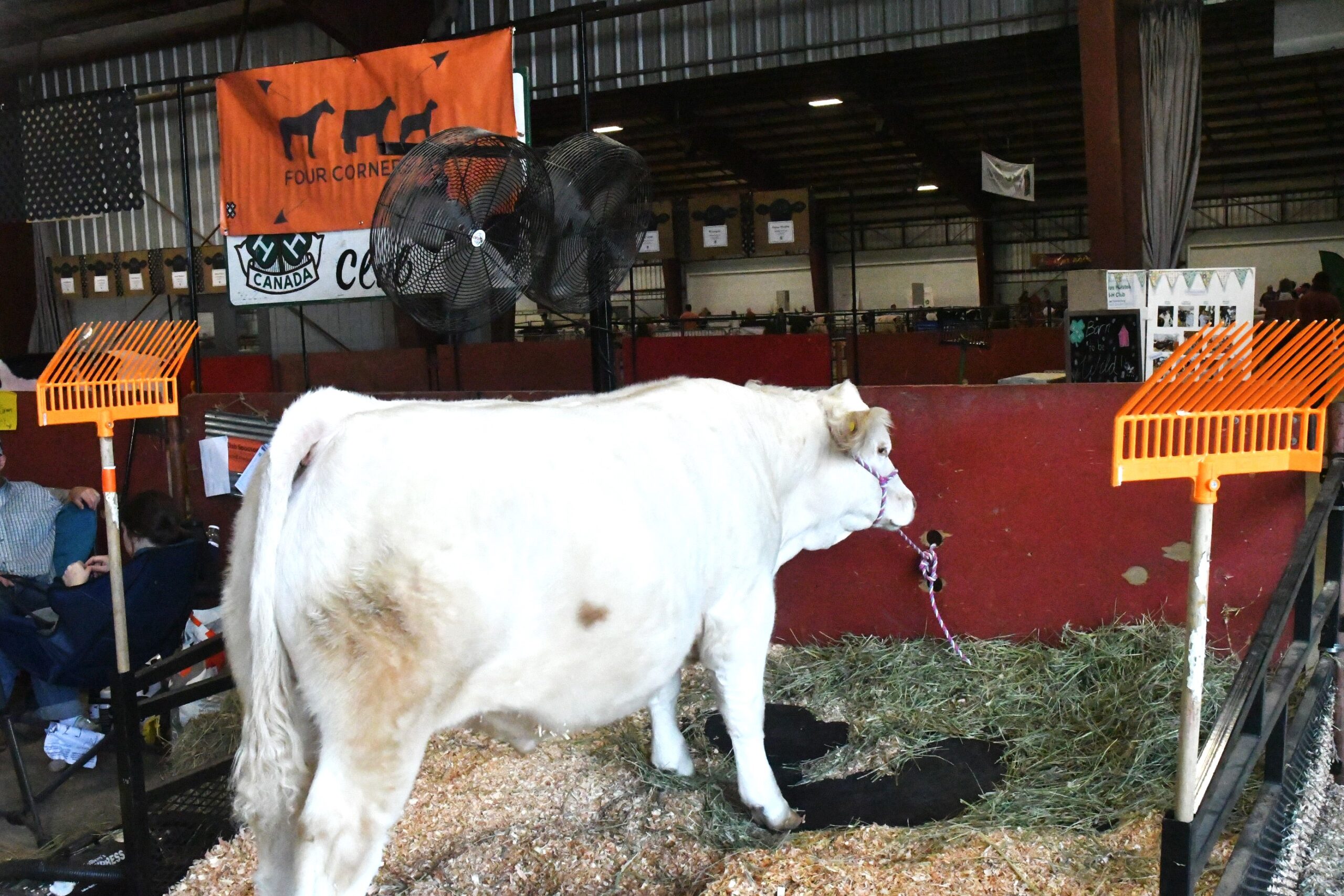 OPINION – Bring Back Agriculture to Chilliwack Heritage Park – FVN